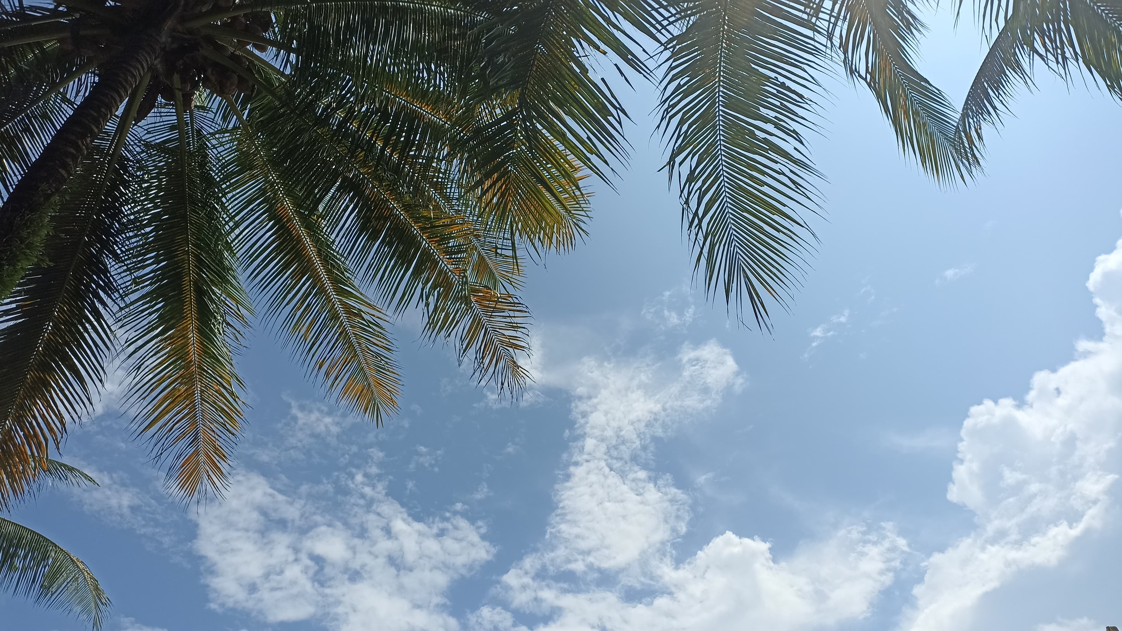 Landing Page Desa Matako